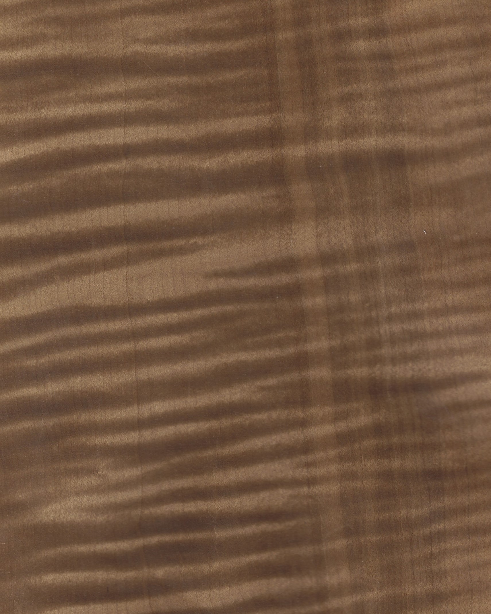 MUKA Wood Veneer
